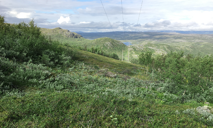 Vattenfall Eldistribution | Elnät